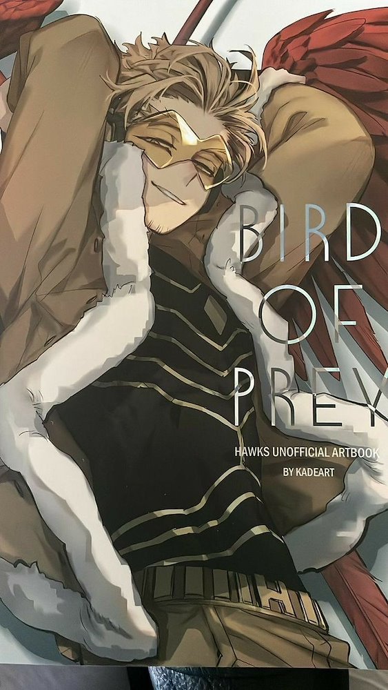 Bird of Prey – Hawks Unofficial Artbook (Self-Publishing)
