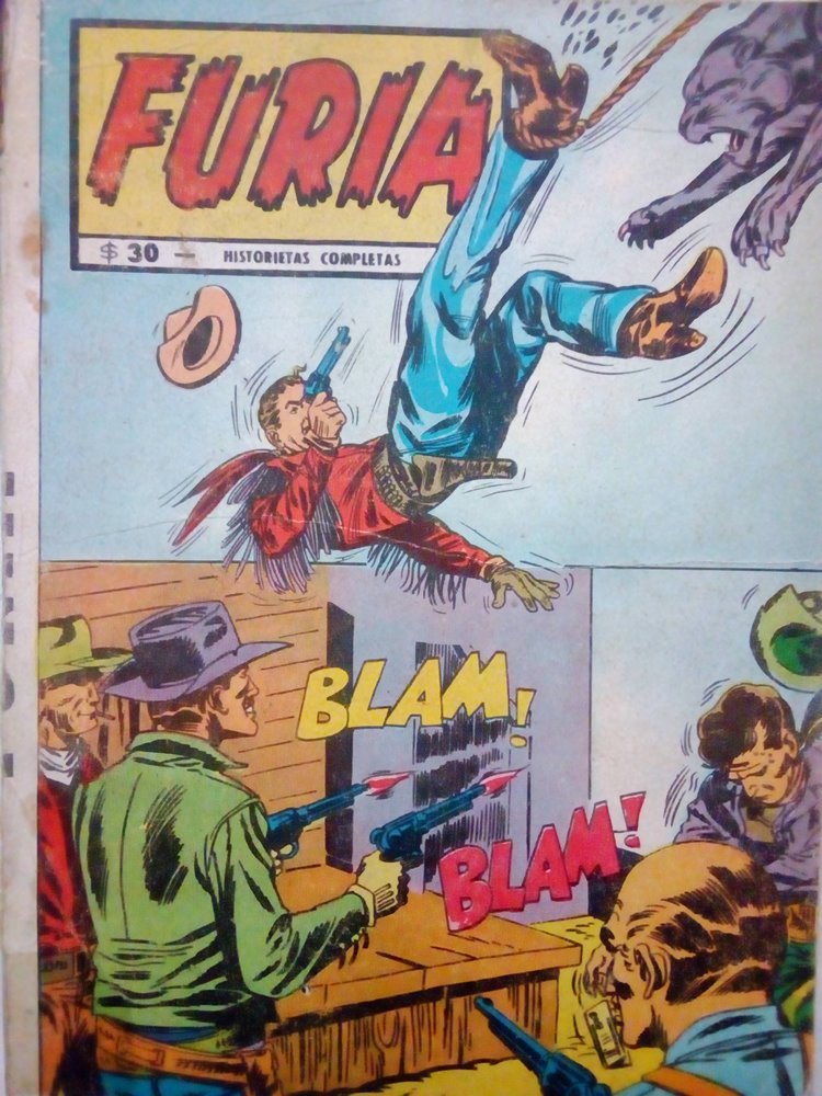 Furia (Editorial Tiempos Modernos)