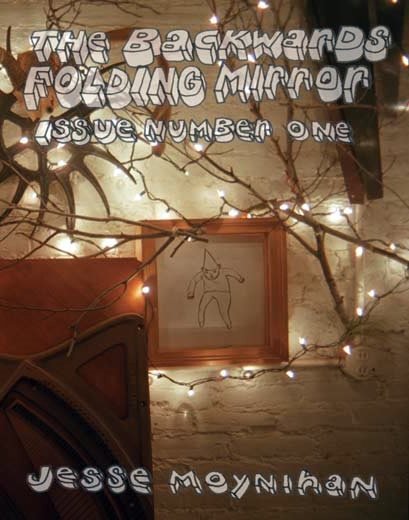 The backwards folding mirror (Non local books)