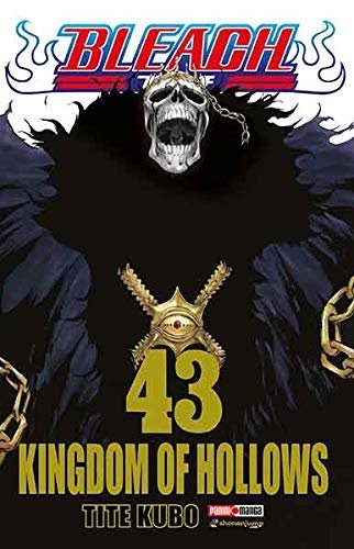 Bleach #43 (Panini Comics México)